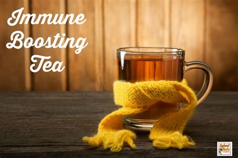 Immune Boosting Tea That Will Keep You Healthy This Year By Hybrid
