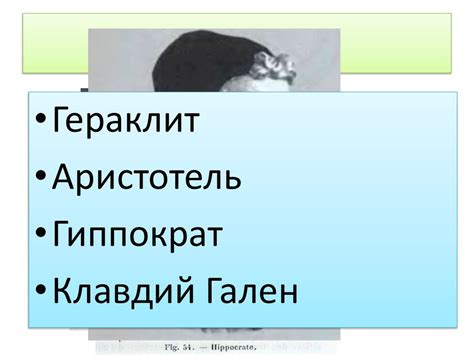 Науки о человеке Становление наук о человеке презентация онлайн