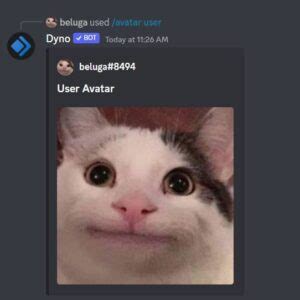 How To Use Dyno Discord Bot Dyno Bot Commands CyberITHub