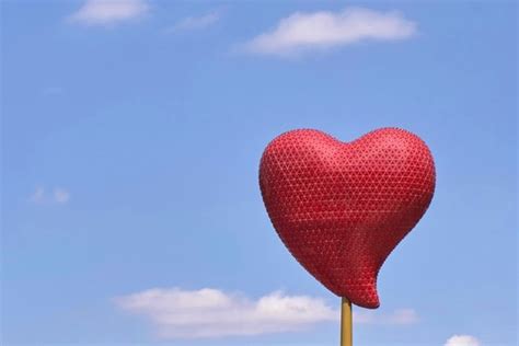 Enfermedades cardiovasculares Dr François Peinado Cirujano urólogo