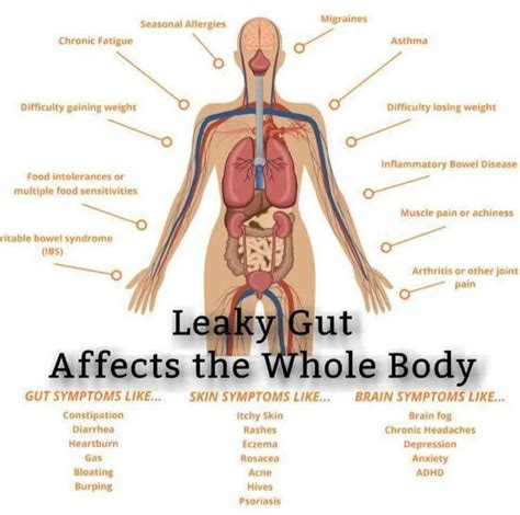 Pin By Heather Howard On Plexus Works Ask Me How Plexus Products