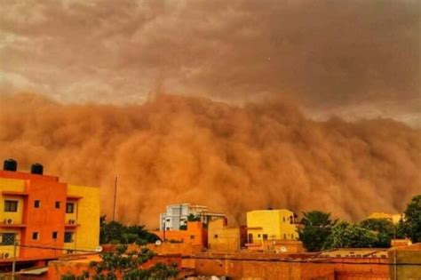 Sandstorms English Reading Exercise Advanced Level Bitgab