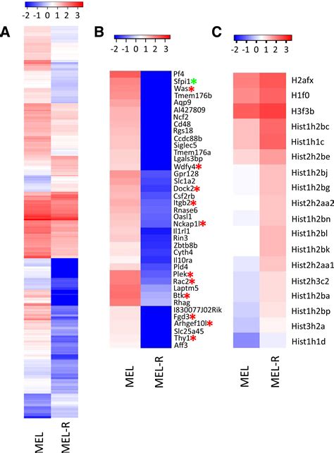 Gene Expression Definition