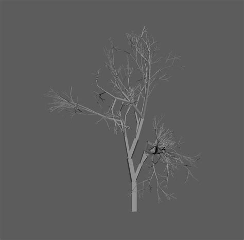 L System Tree R Maya