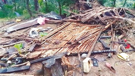 Elephants Go On Rampage In Swkh 14 Houses Destroyed The Shillong Times
