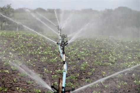 The 3 Main Types Of Irrigation Systems For Agriculture Home Water