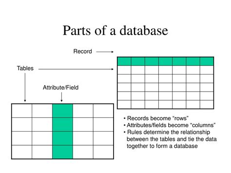 What Are The Parts Of Database Application Window At Joyce Collins Blog