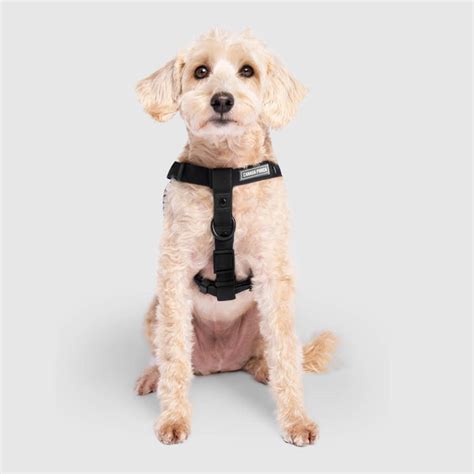 Waterproof Dog Harness Canada Pooch