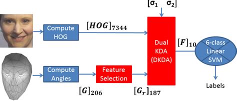 A The 3d Face Mesh Model Utilized In 3d Feature Extraction B The Download Scientific