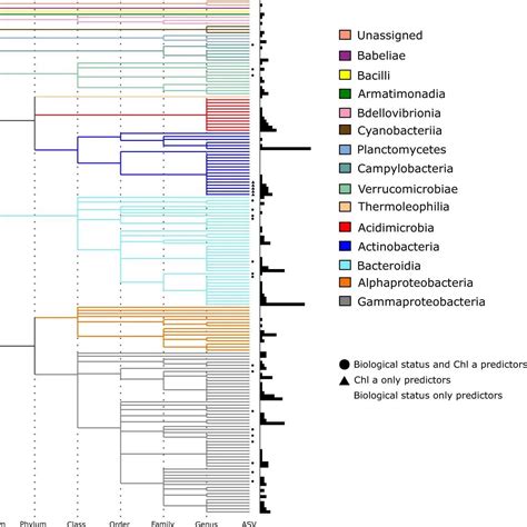 Illumina Dual Index Amplicon Sequencing Sample Preparation 16s 515f 806r Primer Pair