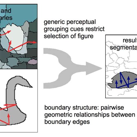 Boundary Structure Segmentation Holistic Shape Matching In Highly