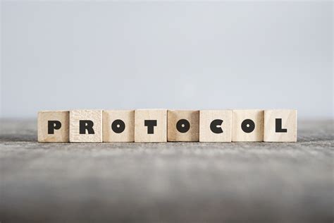 Cuáles son los principios generales del protocolo social