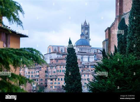 Romanesque Gothic Siena Cathedral Is The Heart Of Siena Italy Stock