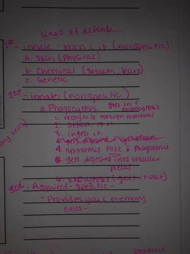 Unit 4 Exam Ch 17 Flashcards Quizlet