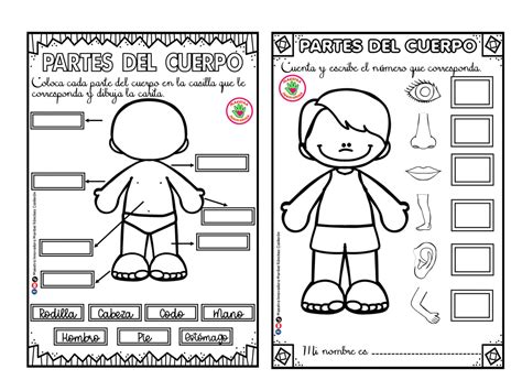 Fichas Partes Del Cuerpo En Ingles Primero De Primaria Infoupdate Org