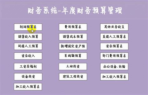 小会计1年经验却拿总监薪资？看了她的财务系统，我彻底服了