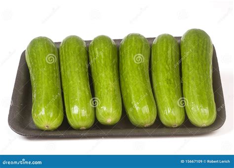 Persian Mini Cucumbers Stock Image Image Of Small Cucumber 15667109