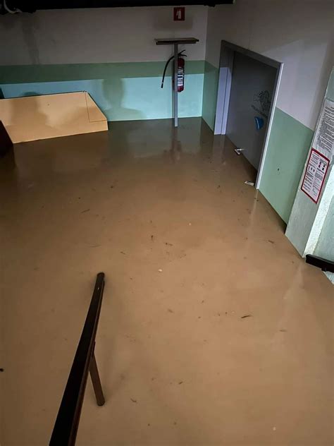 Teamwork Goodvibes Volunteer Ajda Kerlatec