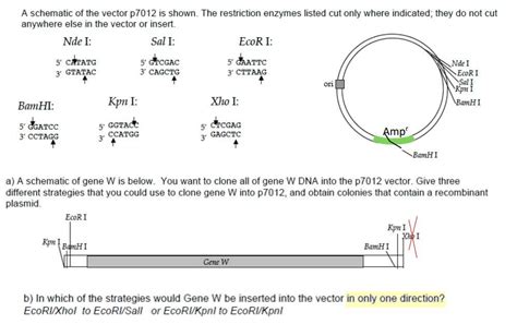 Help Solving This Problem I Know Its Very Basic But Can Anyone