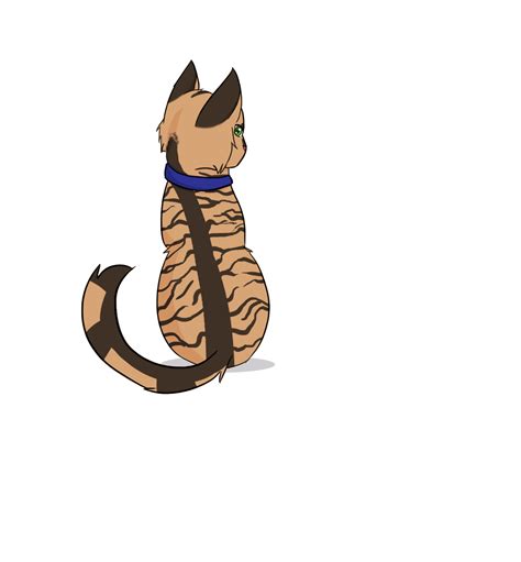 Sushi Tail Wave Animation By Scorchersoldier On Deviantart