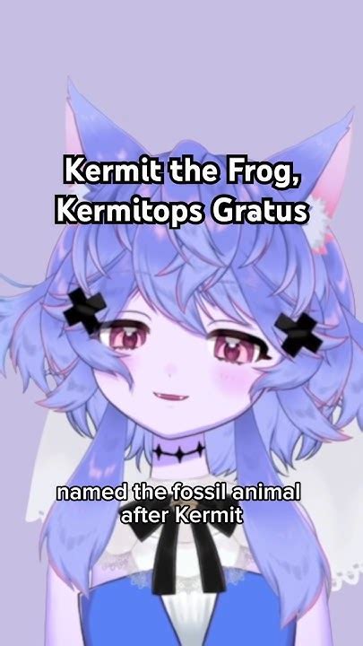 Kermitops Gratus I Really Like The Names These Scientists Come Up