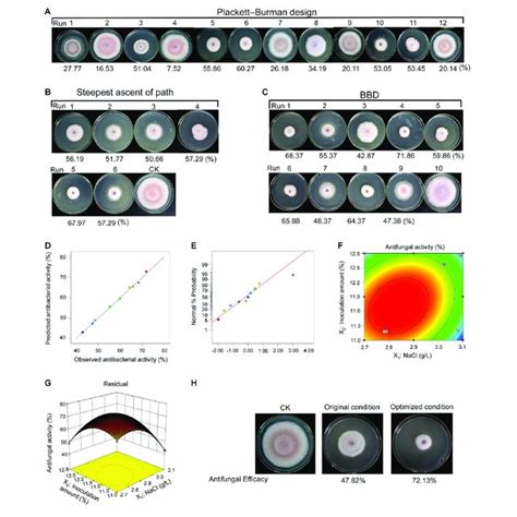 Fermentation Condition Optimization Of Strain 5 10 By Rsm A The