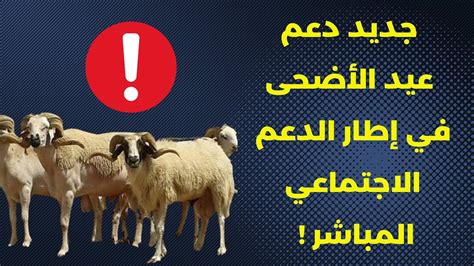 ⛔ جديد دعم عيد الأضحى في إطار برنامج الدعم الاجتماعي المباشر Asdma