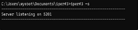 Iperf Wyebot Docs