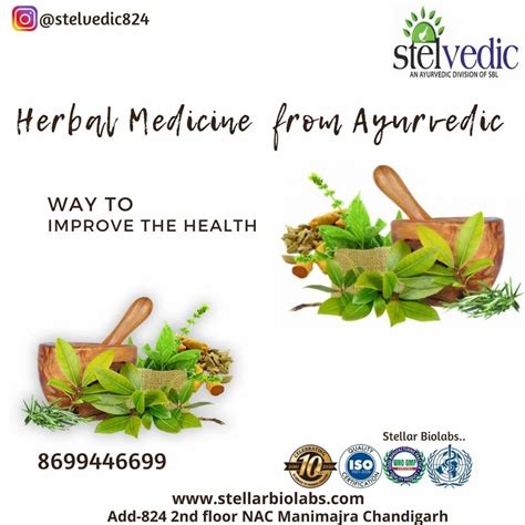 Steljod Capsule Cissus Quadrangularis 500 Mg At Rs 450box