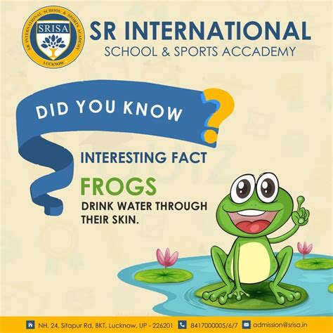 Srisa School Best School Lucknow School Creative School Fun