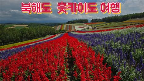 북해도 훗카이도 여행 Youtube