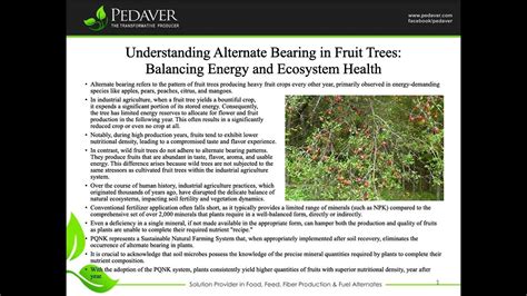 Understanding Alternate Bearing In Fruit Plants Youtube