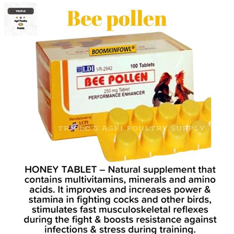 Bee Pollen 1box 100 Tablets Shopee Philippines