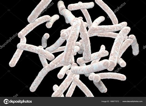 Bacterias Mycobacterium Tuberculosis Fotografía De Stock © Katerynakon