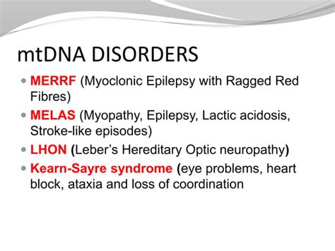 Mitochondrial Dna And Dysfunctions Ppt