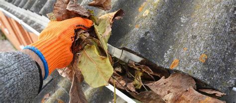 Residential Roof Maintenance Tips In Boise Id Roofing Llc
