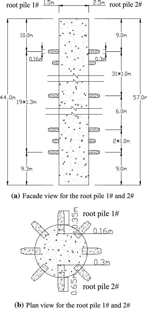 Schematic Diagrams Of The Real Case Root Pile 1 And 2 Download Scientific Diagram