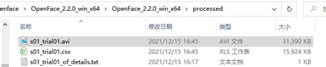 Win Openface Csdn