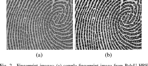 figure 2 from pore detection in fingerprints based on image subtraction