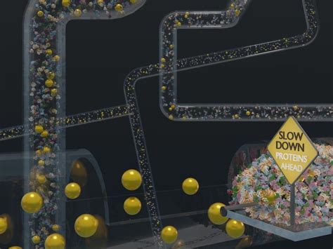 Las Nanopartículas De Interés Médico Se Mueven En Las Células Más