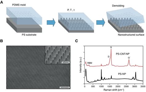 Fabrication And Characterization Of Substrates Patterned With Download Scientific Diagram