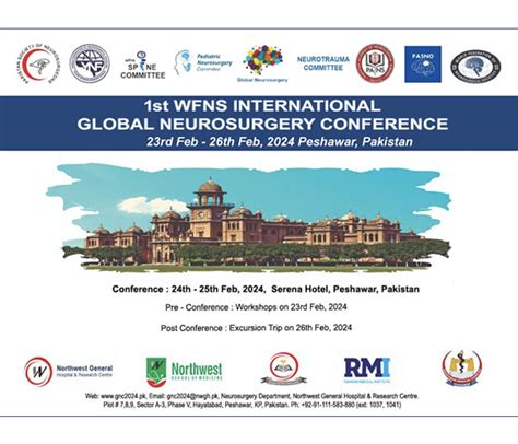 International Global Neurosurgery Conference Pans