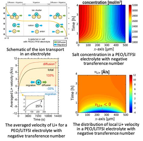Continuum Description Of The Role Of Negative Transference Numbers On Ion Motion In Polymer