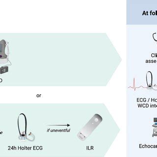 Proposed Algorithm For The Diagnosis And Management Of Arrhythmias In Download Scientific