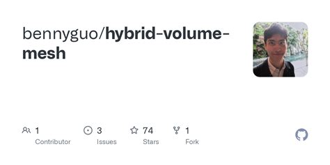 github bennyguo hybrid volume mesh