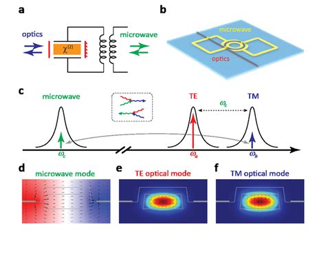 Coherent Conversion With Cavity Electrooptics A Schematic Of Cavity Download Scientific