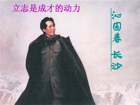 沁园春长沙公开课word文档在线阅读与下载无忧文档