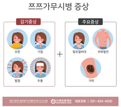 진드기 물리면 쯔쯔가무시 병 전염 증상 치료 병원 네이버 블로그