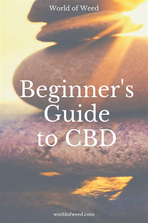 Cannabidiol Explained The Beginners Guide To Cbd World Of Weed