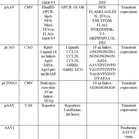 2 3 Figure 2 Figure Supplement 1 Download Scientific Diagram